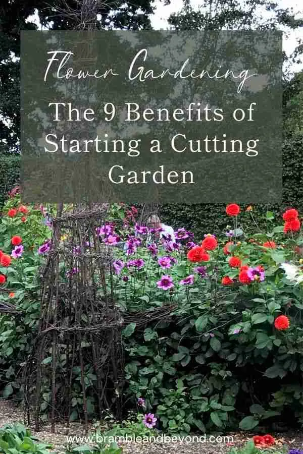 What’s the Best Cutting Garden Layout: How Much Space Do You Need? | Bramble and Beyond