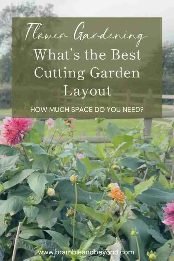 What’s the Best Cutting Garden Layout: How Much Space Do You Need? | Bramble and Beyond
