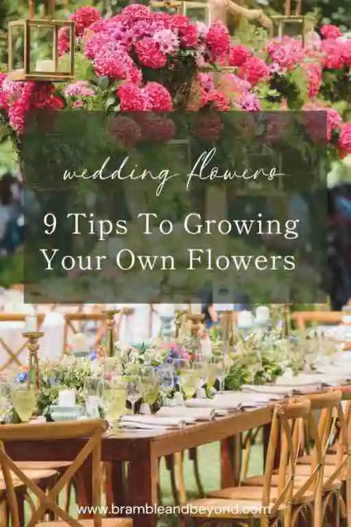 How to Grow Your Own Wedding Flowers (Without Losing the Plot) | Bramble and Beyond