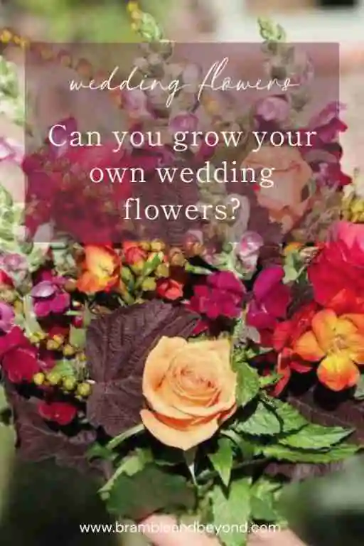 How to Grow Your Own Wedding Flowers (Without Losing the Plot) | Bramble and Beyond